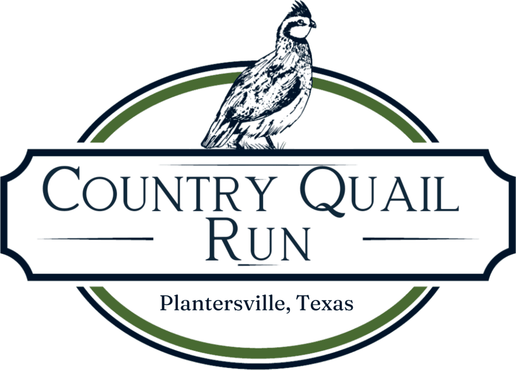 Bobwhite Quail - Country Quail Run